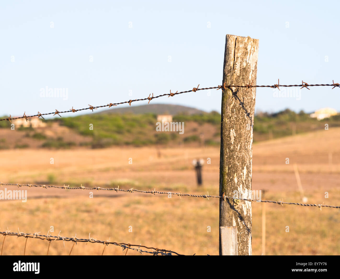 Wire mesh barrier hi-res stock photography and images - Alamy
