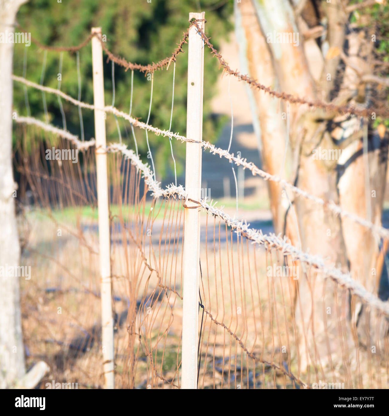 Wire mesh barrier hi-res stock photography and images - Alamy