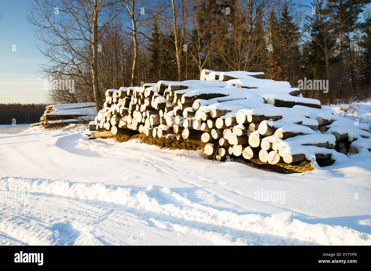 Chain sawed wood hi-res stock photography and images - Alamy
