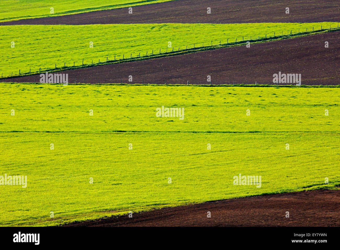 Farm field spring cultivation patterns Stock Photo - Alamy