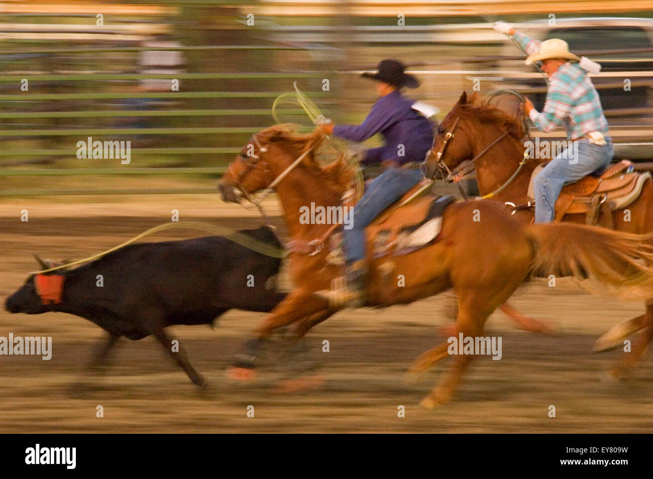 Roping, Hells Canyon Jr. Rodeo, Halfway, Hells Canyon National Scenic ...