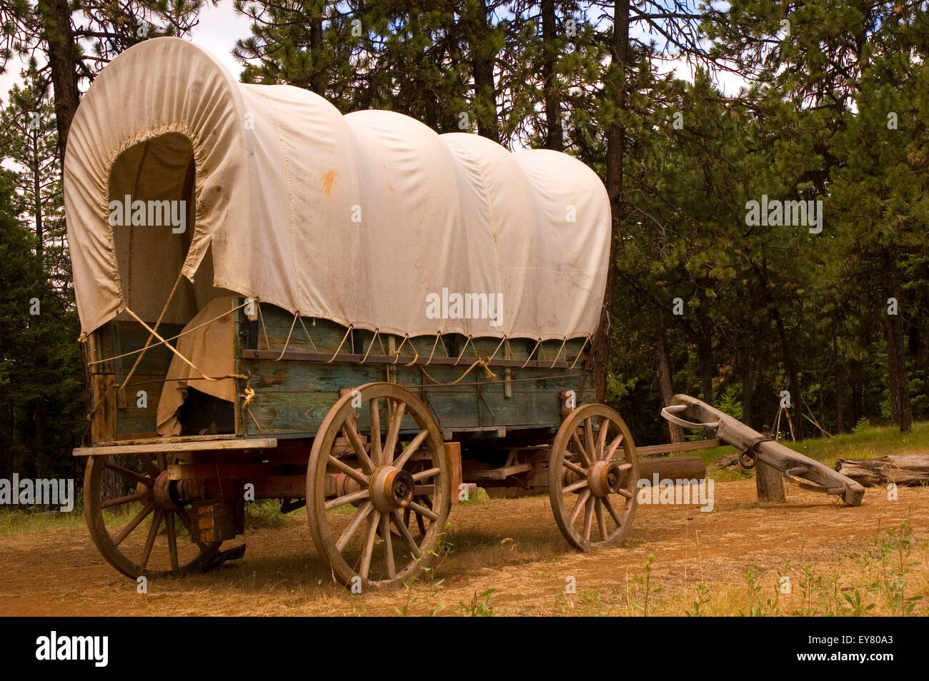 Covered wagon, Blue Mountain Crossing Interpretive Area, Wallowa ...
