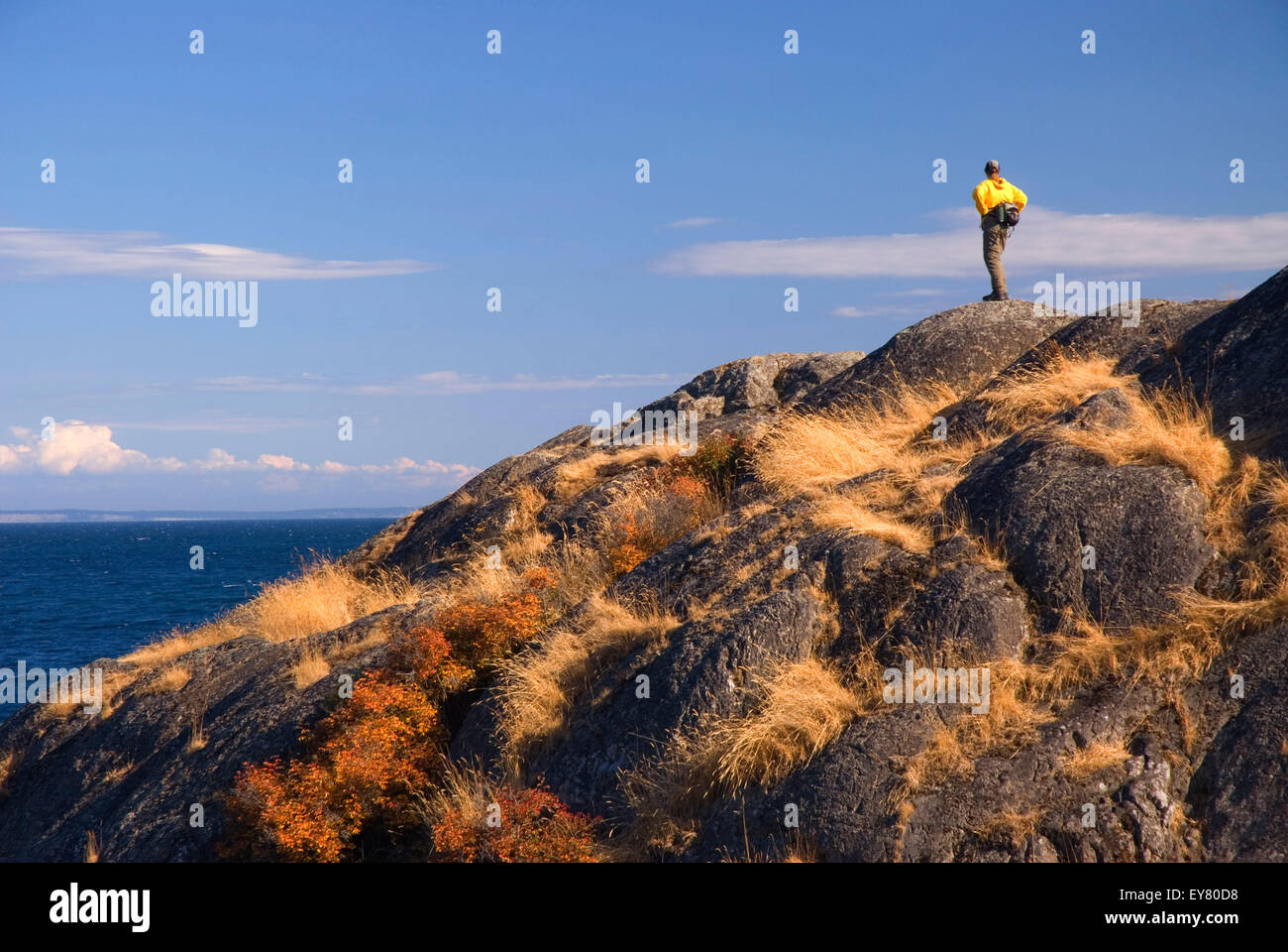 Beach outcrop, Cattle Point Natural Conservation Area, San Juan Island ...