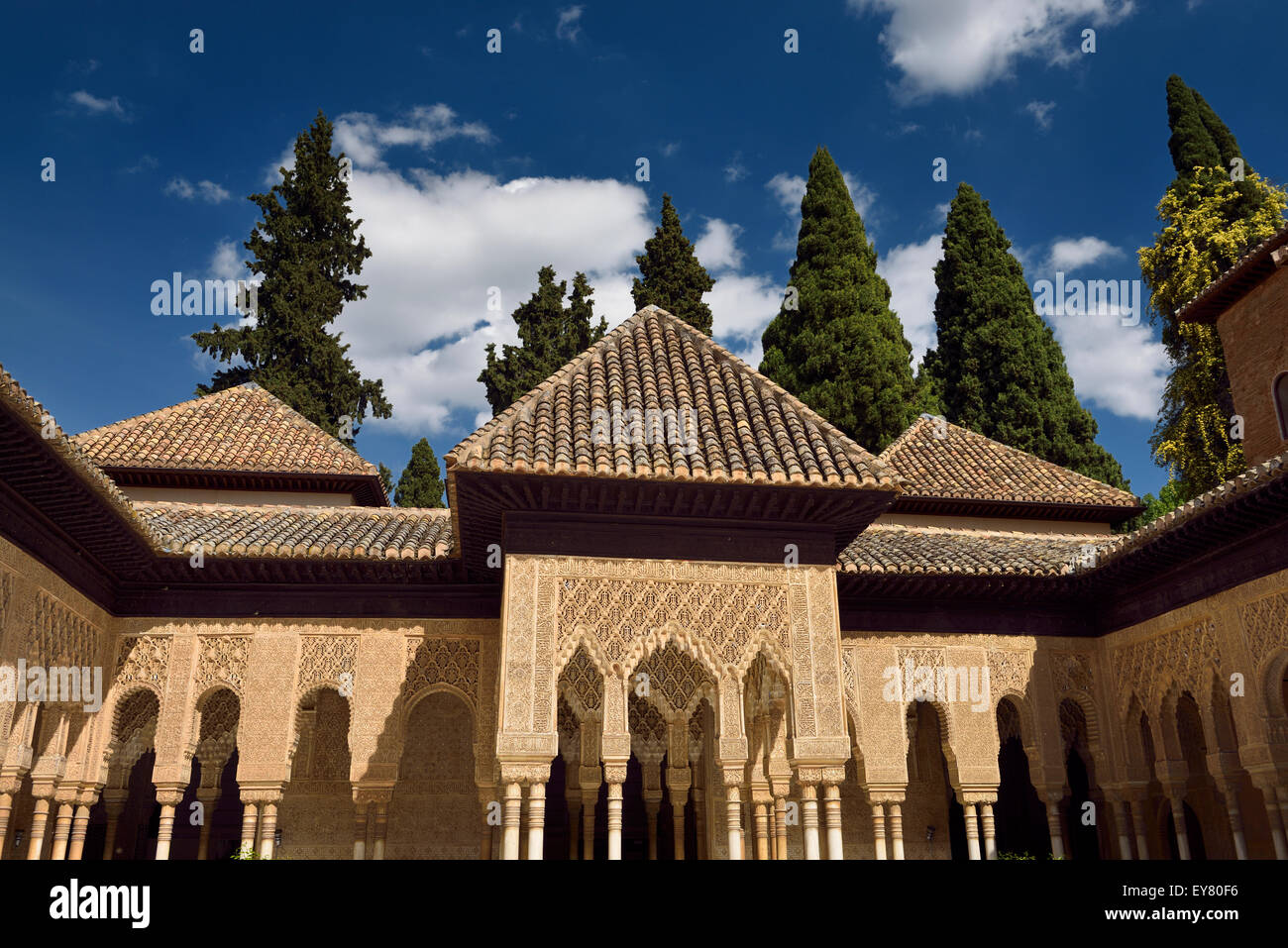 Ornate stiled arches in the courtyard of the Lions at Nasrid Palaces ...