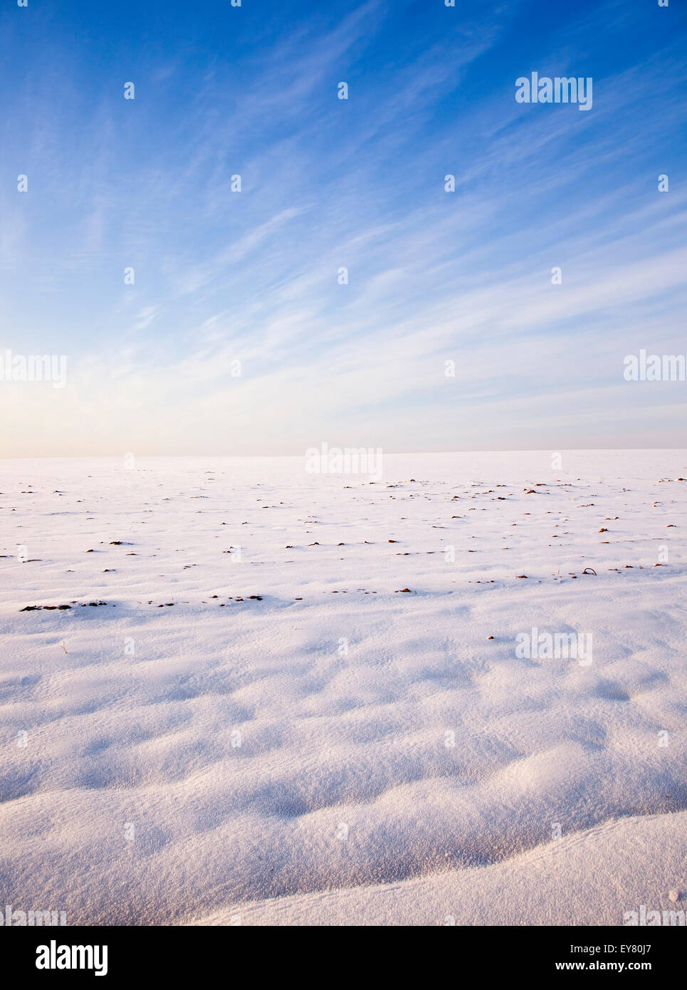 field in the winter Stock Photo - Alamy