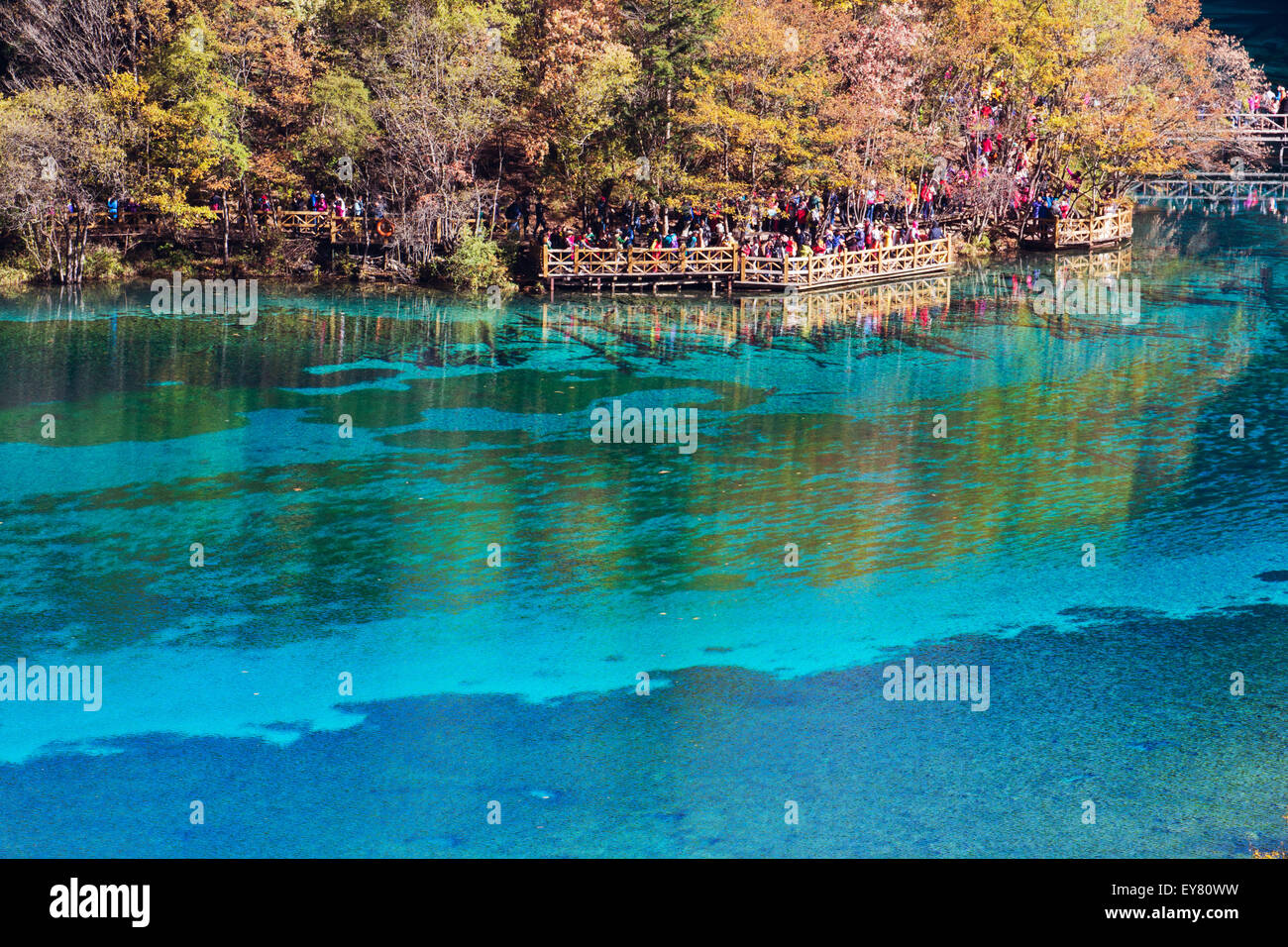 Jiuzhaigou national park, Five Flower Lake is lake in Sichuan, China ...