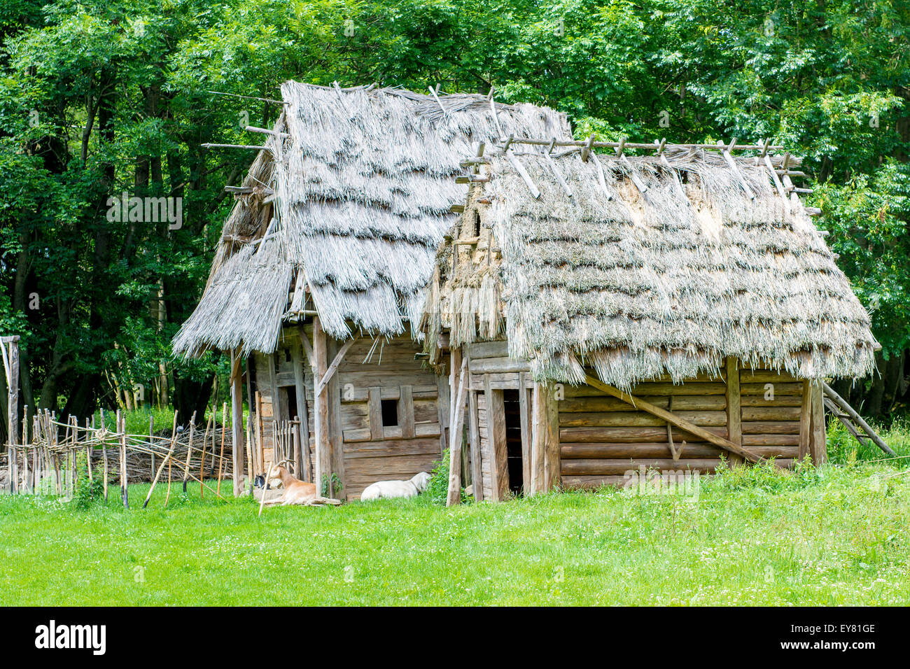 The house and barn from the Middle Ages, standing on a green meadow ...