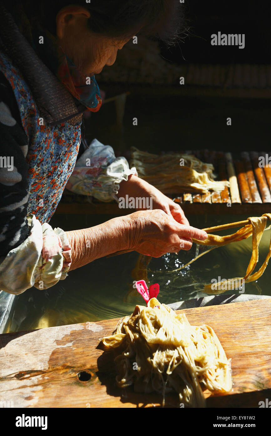 Japanese traditional paper craftsman working in her studio Stock Photo ...