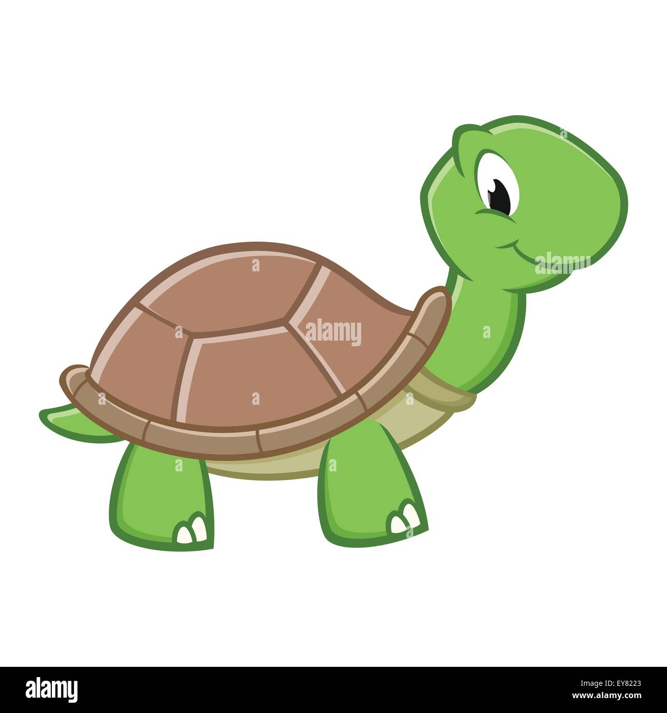 Baby terrapin Cut Out Stock Images & Pictures - Alamy