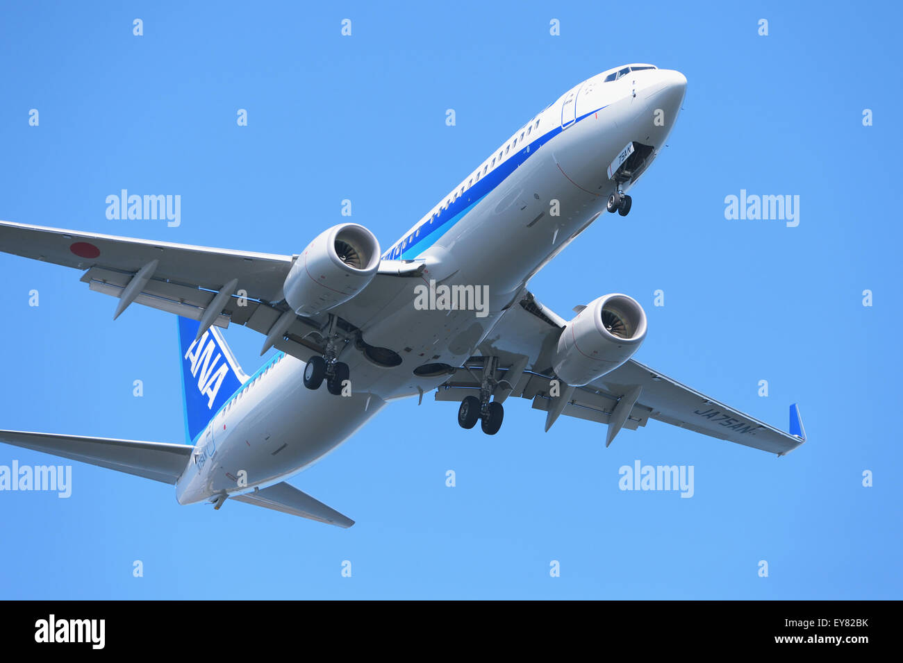 Airplane flying in the sky Stock Photo - Alamy