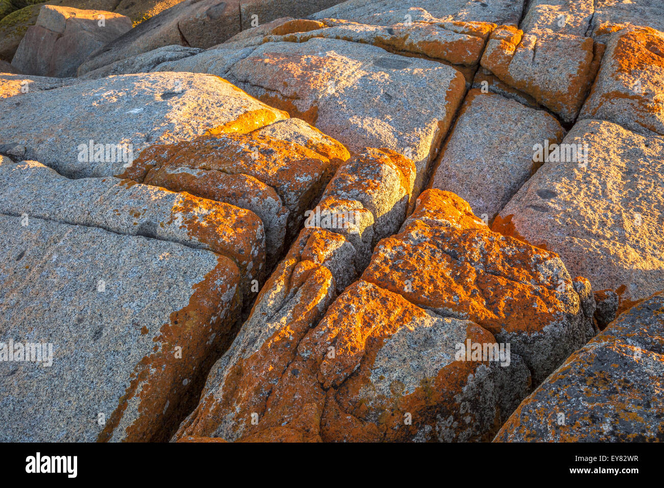 Binalong hi-res stock photography and images - Alamy