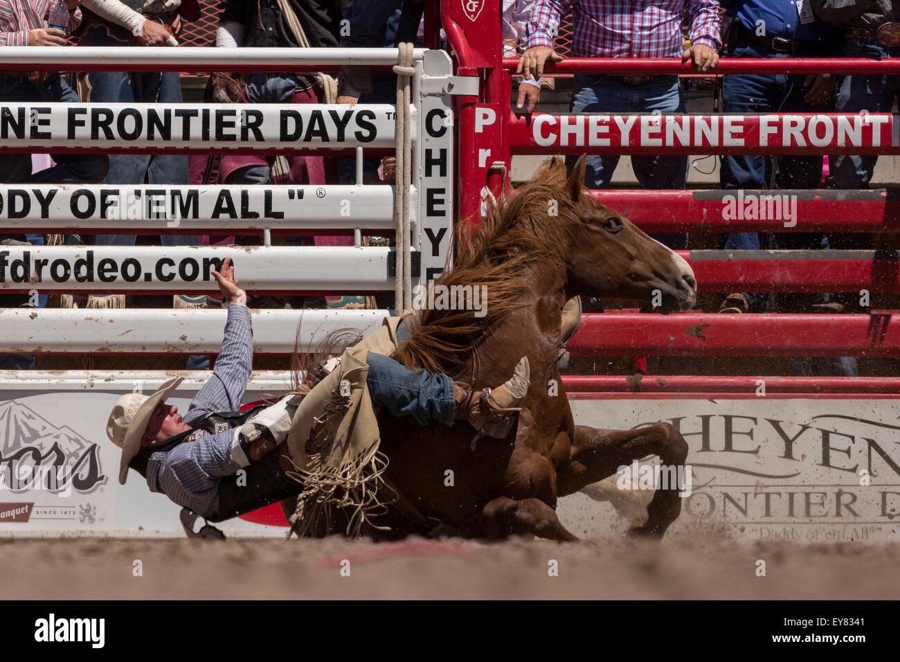 Wyoming, USA. 23rd July, 2015. A rodeo rider goes down with his horse ...