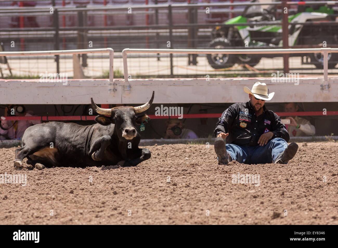 Rodeo steer cowboy sit hi-res stock photography and images - Alamy