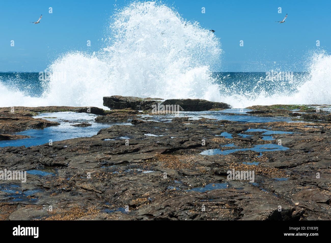 Slamming hi-res stock photography and images - Alamy