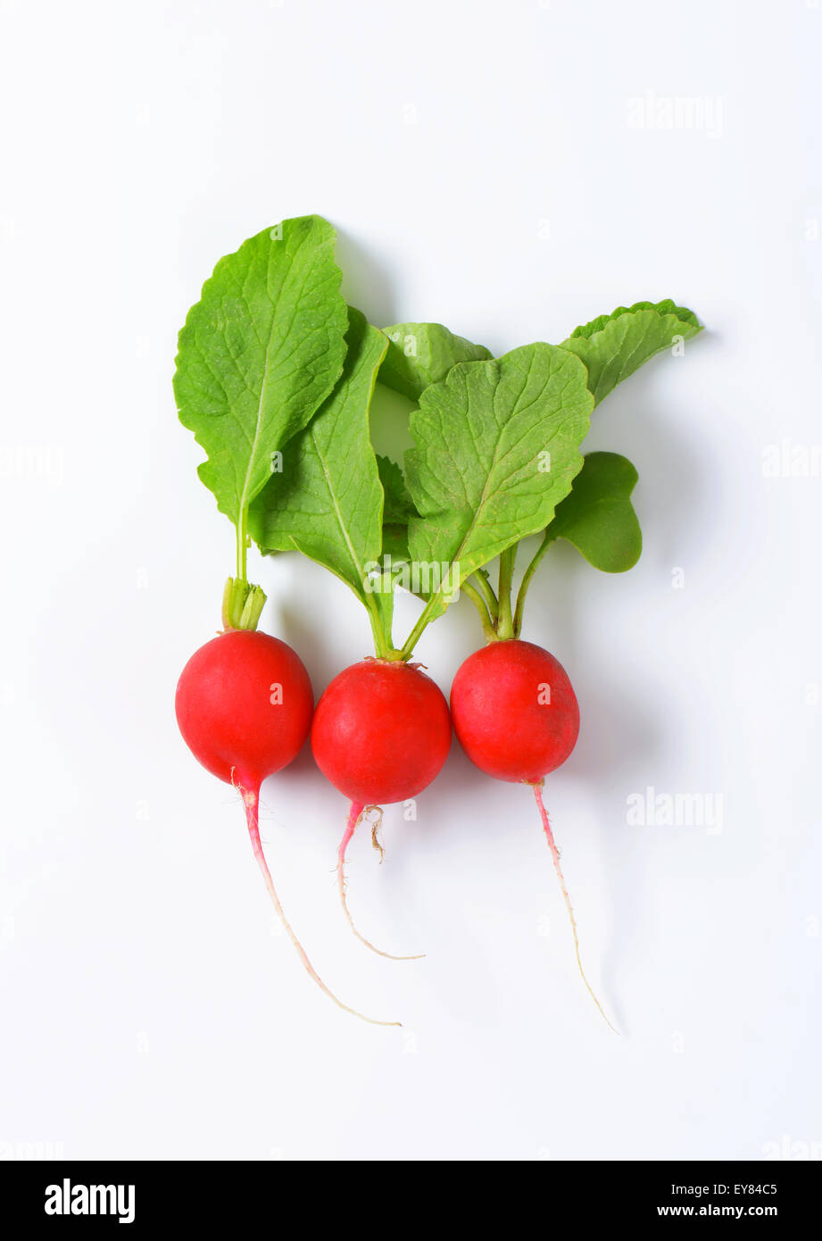 Three fresh red radishes on white background Stock Photo - Alamy