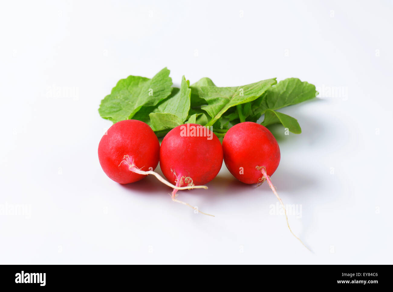 Three fresh red radishes on white background Stock Photo - Alamy