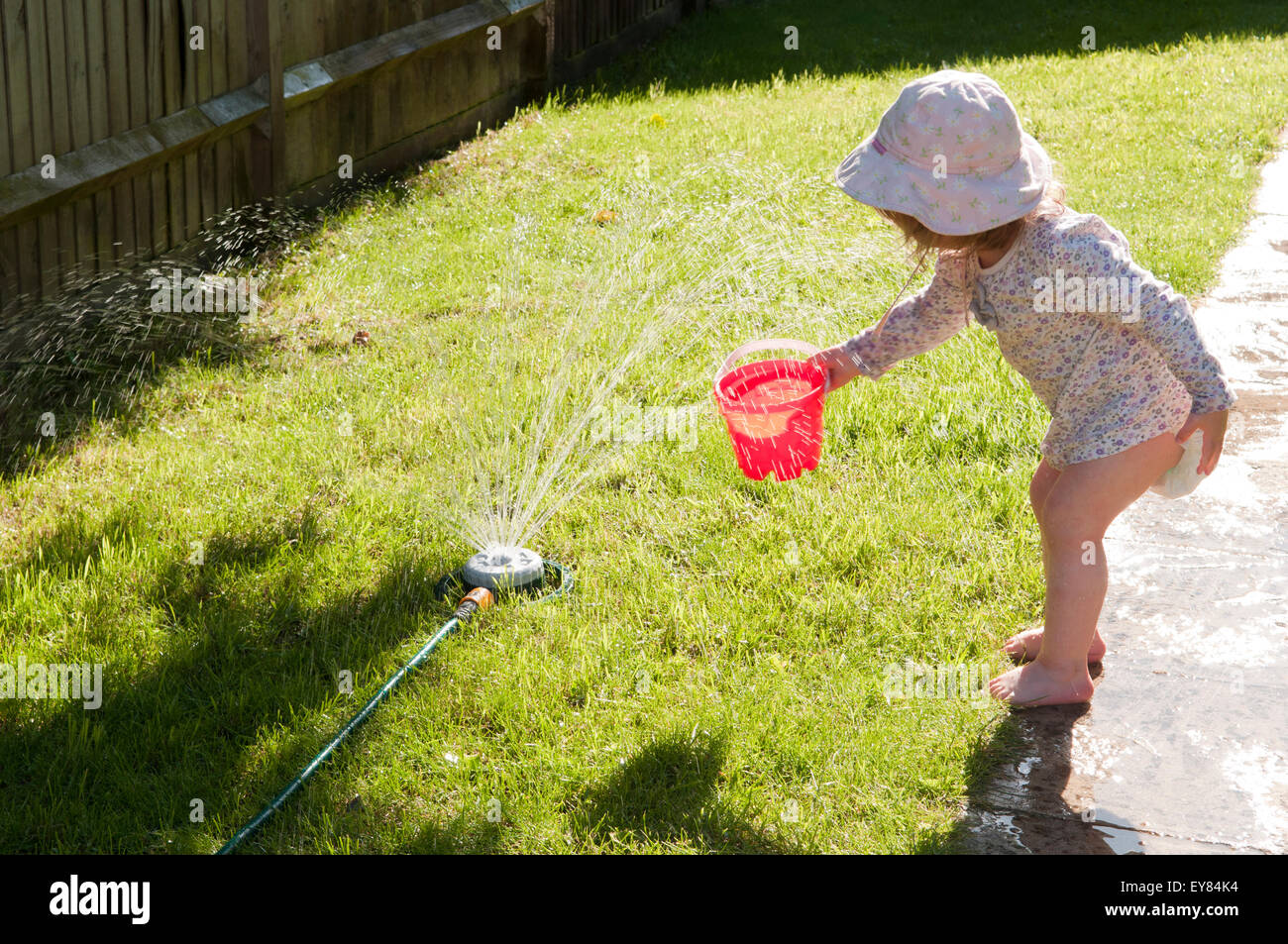 Little girl catching water with a bucket from a garden sprinkler Stock ...