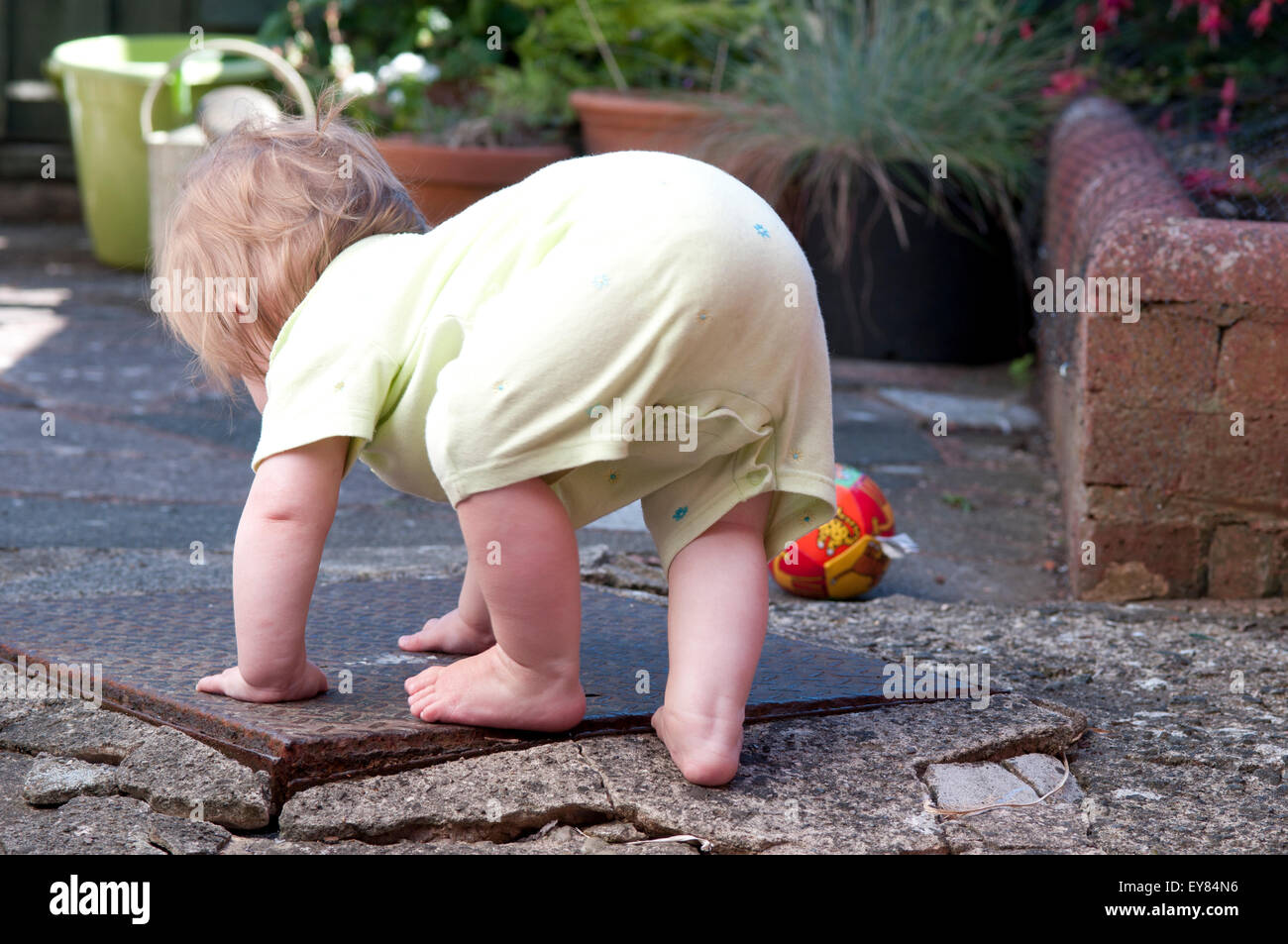 Rear view of baby girl crawling outside Stock Photo - Alamy