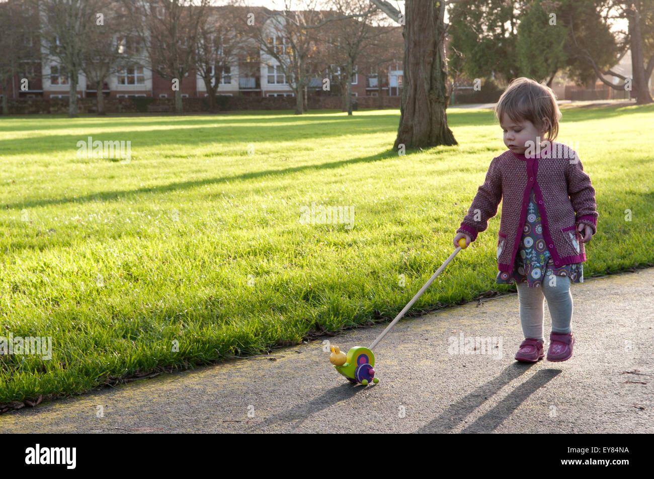 Little girl walking in the park pushing a push-along toy Stock Photo ...