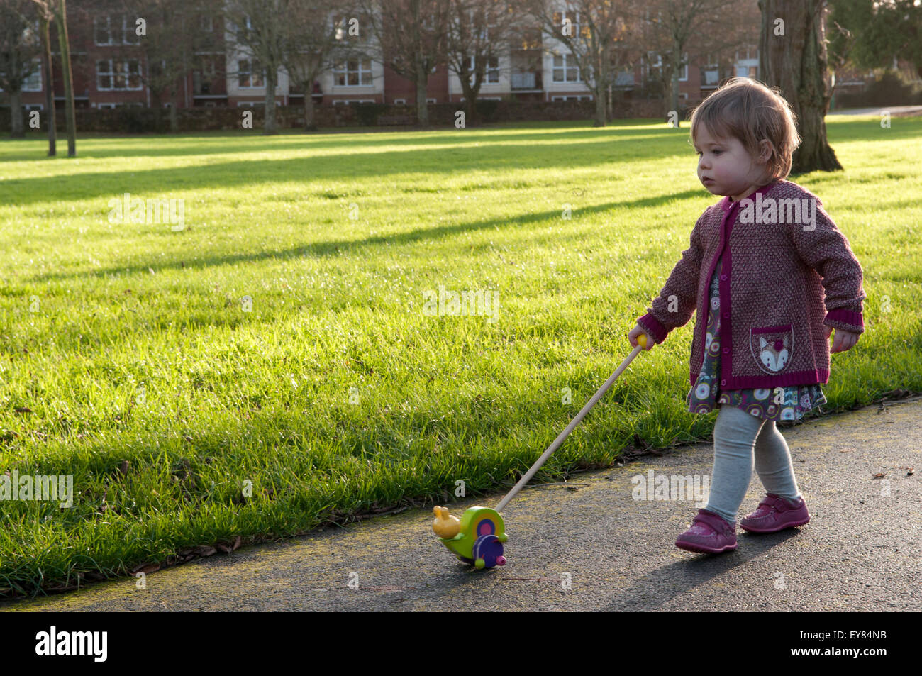 Little girl walking in the park pushing a push-along toy Stock Photo ...