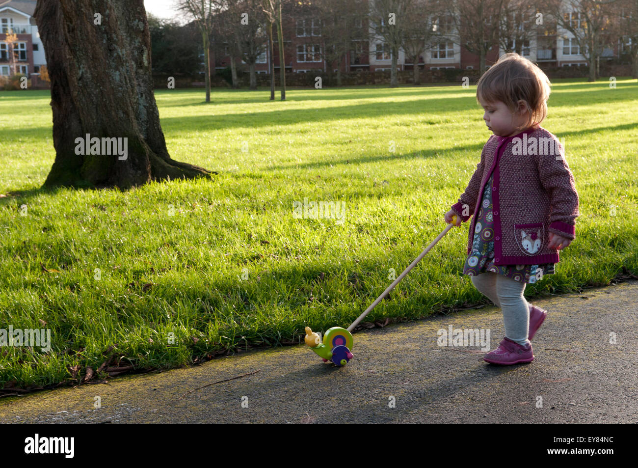 Little girl walking in the park pushing a push-along toy Stock Photo ...