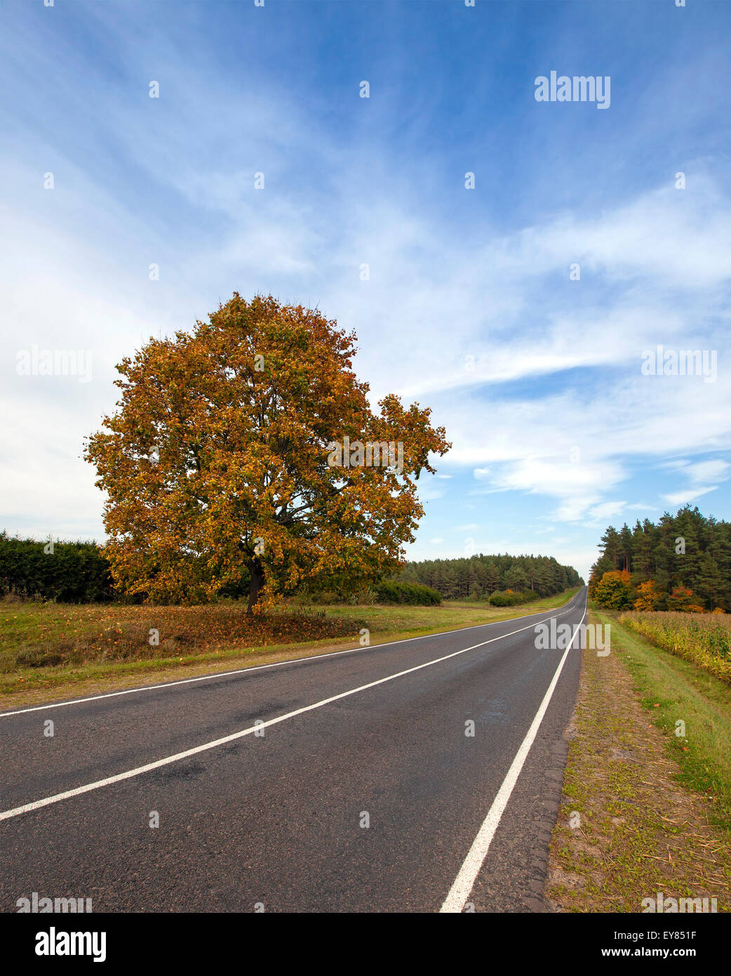 little road Stock Photo - Alamy