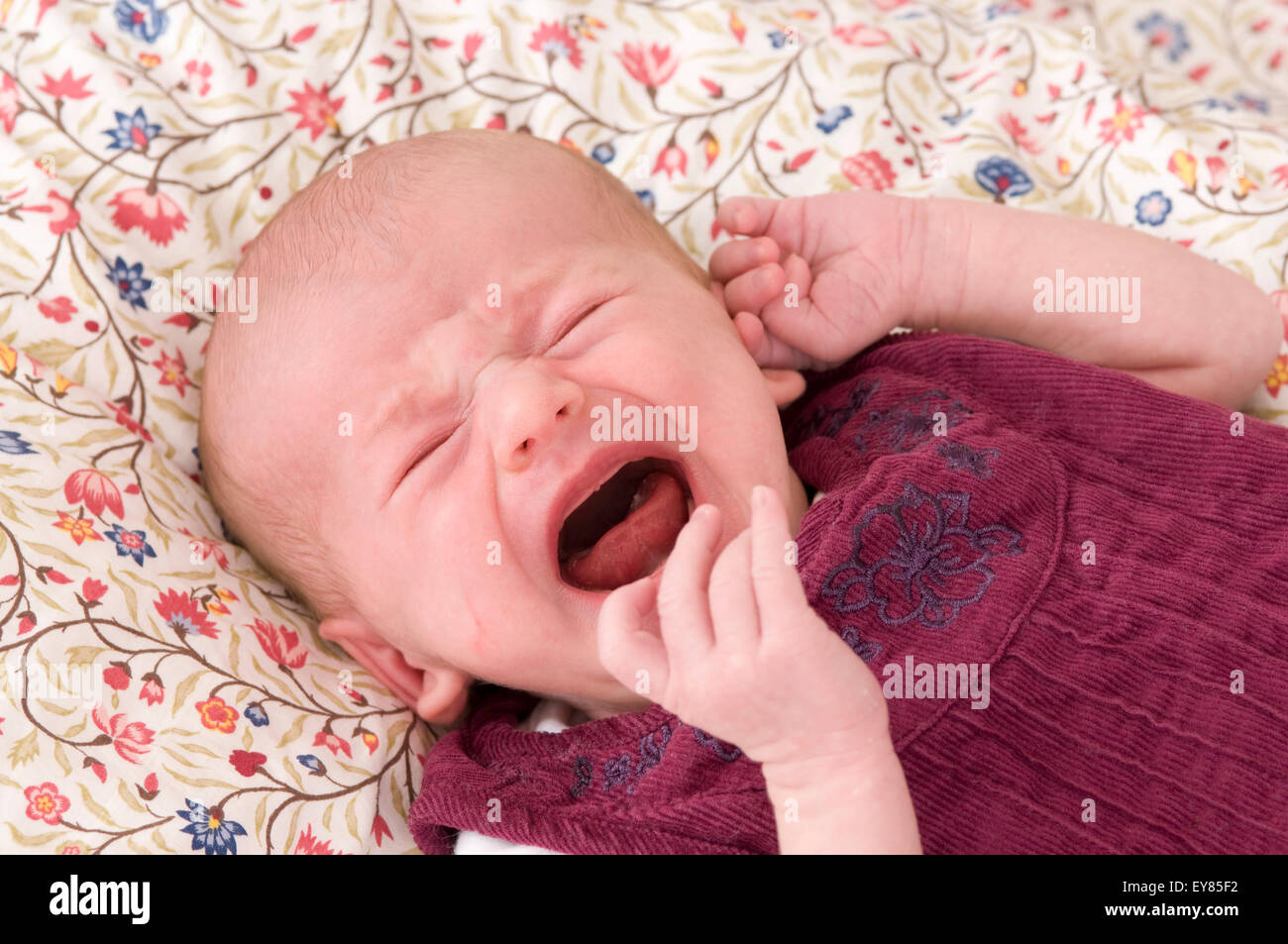 Close up of newborn baby crying Stock Photo - Alamy