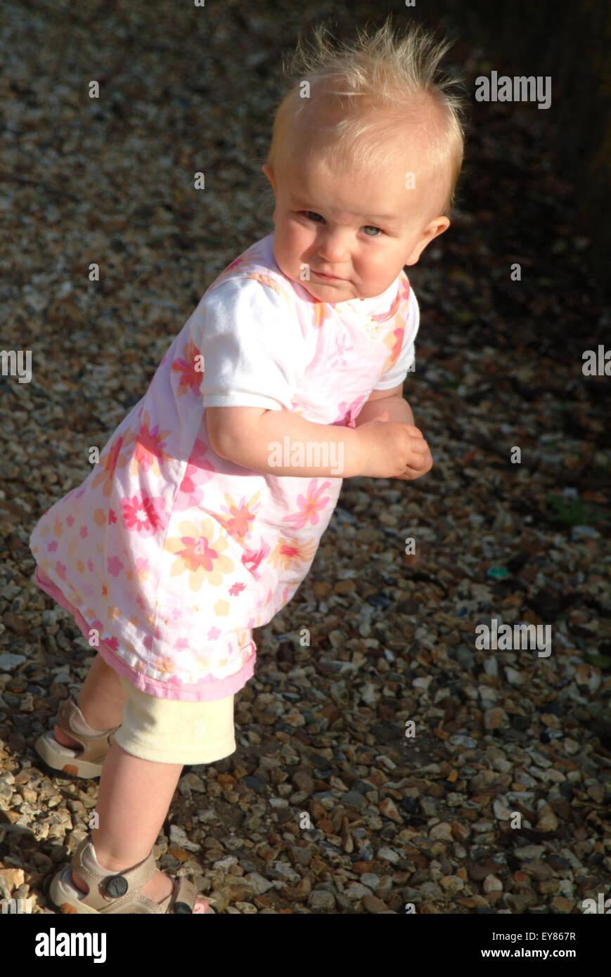 Portrait of cute baby girl standing looking up at the camera Stock ...