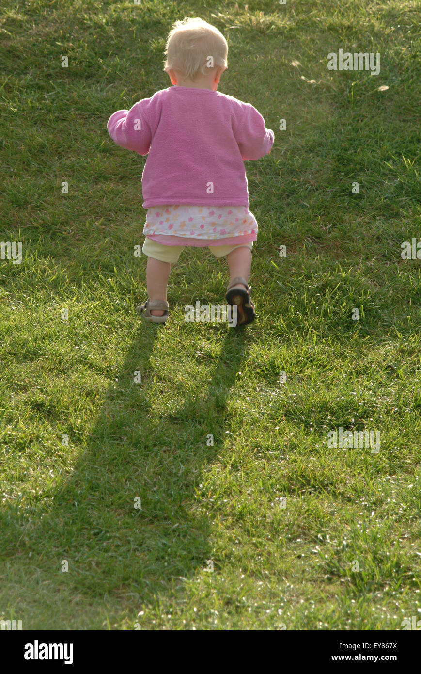 Rear view of baby toddling, learning to walk Stock Photo - Alamy