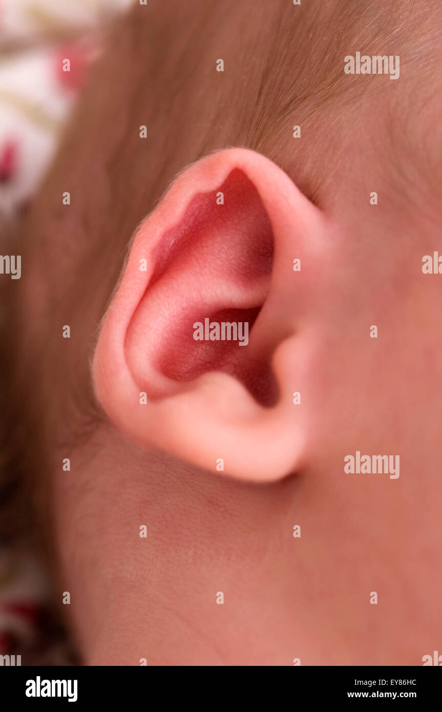 Close up of newborn baby's ear Stock Photo - Alamy