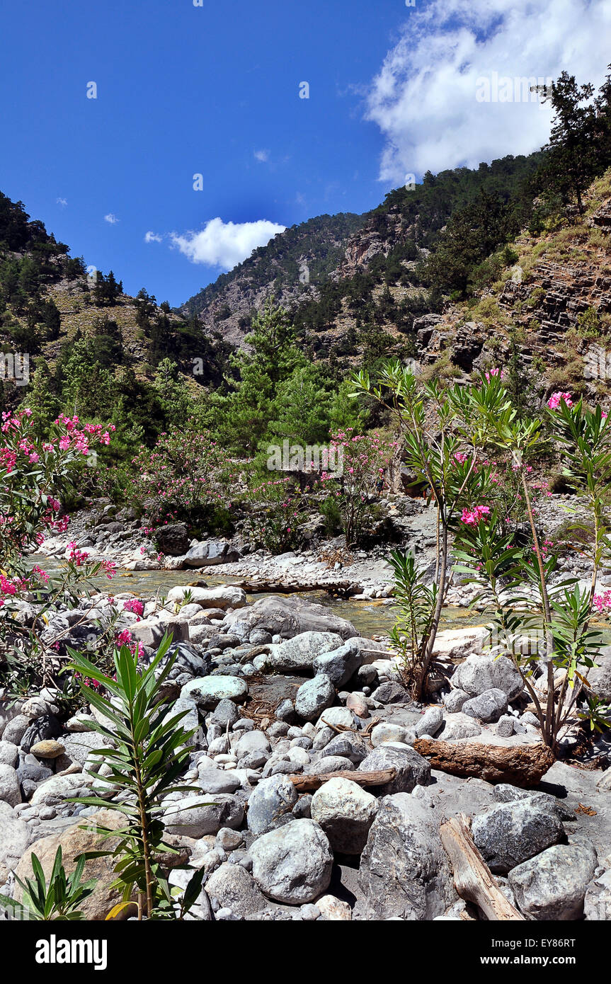 Samaria Gorge National Park, Crete, Greece Stock Photo - Alamy