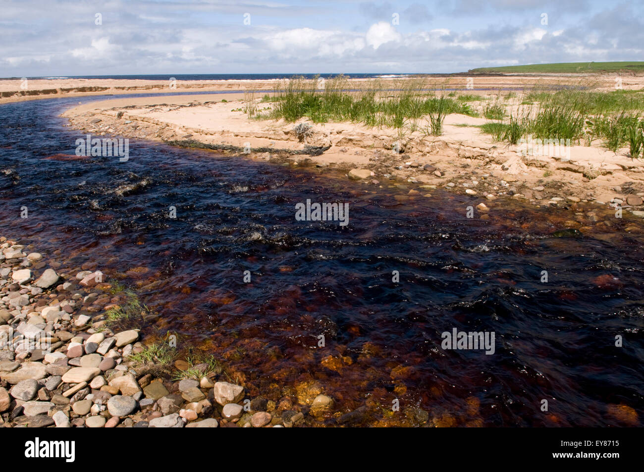 River flowing down towards Sandside Bay, Reay, Caithness, Scotland ...