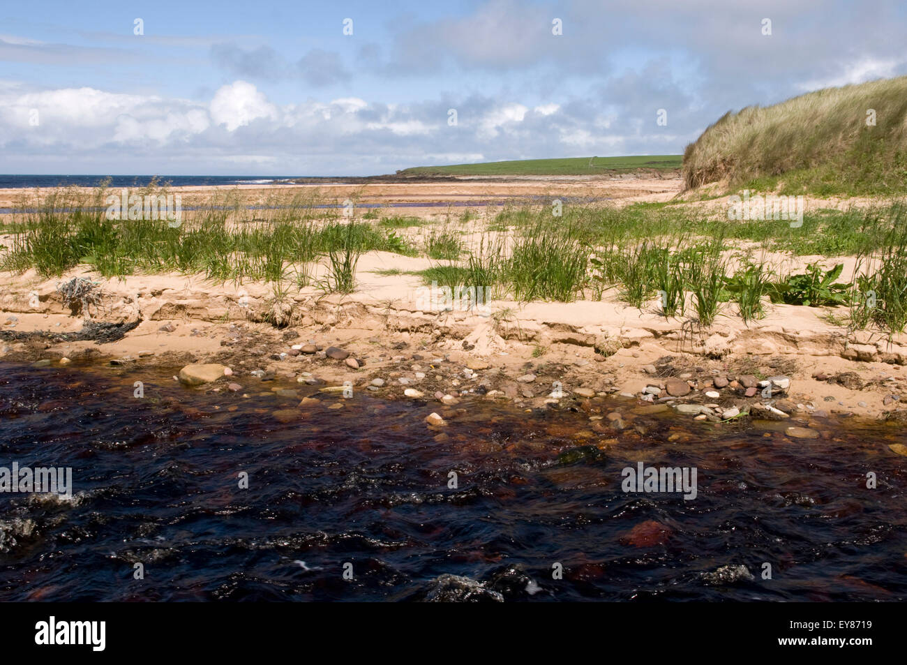 River flowing down towards Sandside Bay, Reay, Caithness, Scotland ...