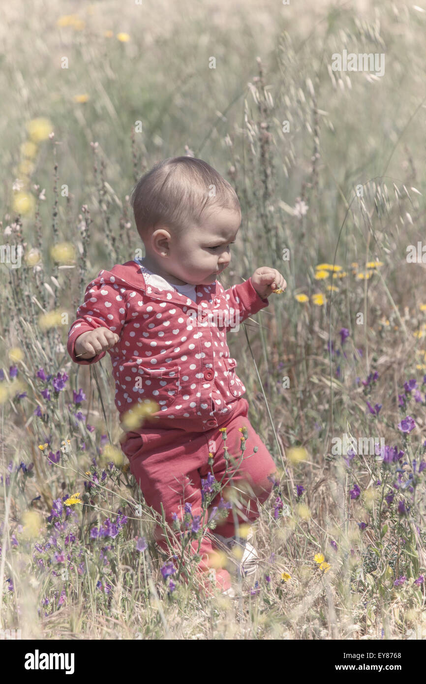 Beautiful female baby on a flowers field Stock Photo - Alamy