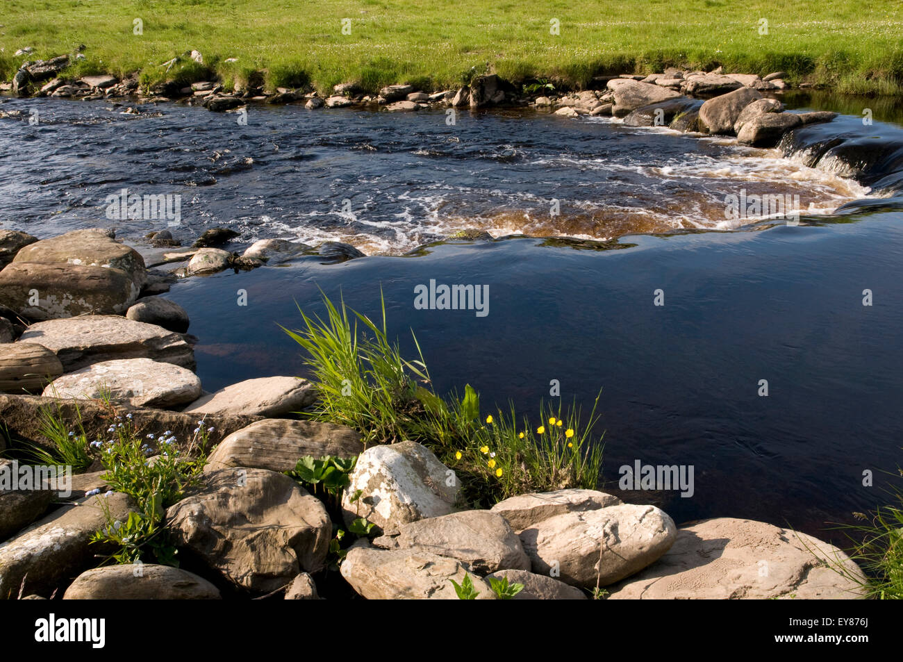River Forss, Caithness, Scotland Stock Photo - Alamy