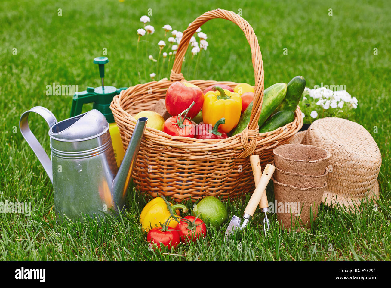 Basket with fresh harvest and gardening tools on green grass Stock ...