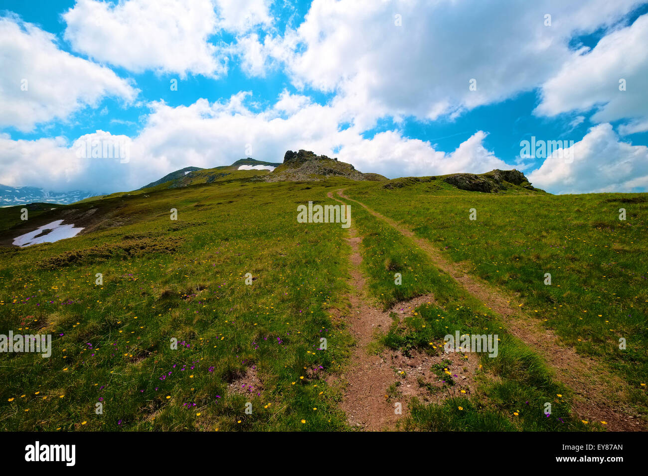 Toop hi-res stock photography and images - Alamy