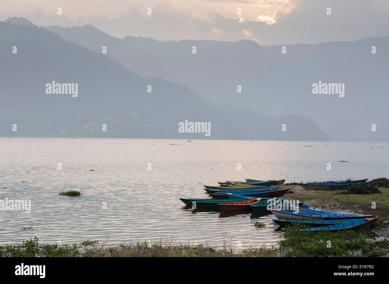 Phewa lake, pokhara, nepal hi-res stock photography and images - Alamy