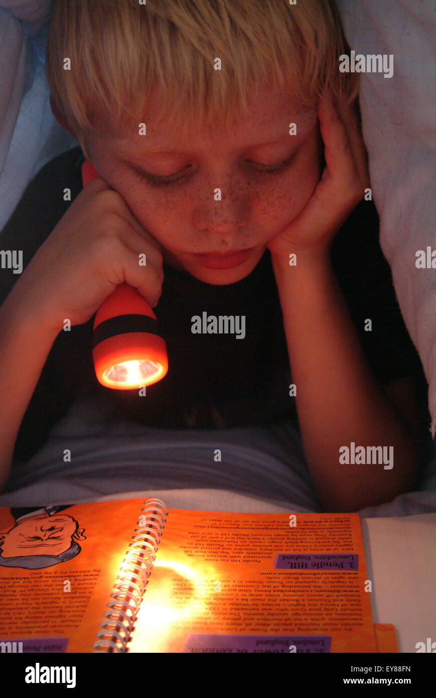 Little boy snuggled up in a sleeping bag reading by torchlight Stock ...