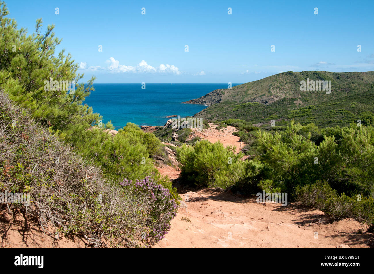 Menorca coastal vegetation hi-res stock photography and images - Alamy