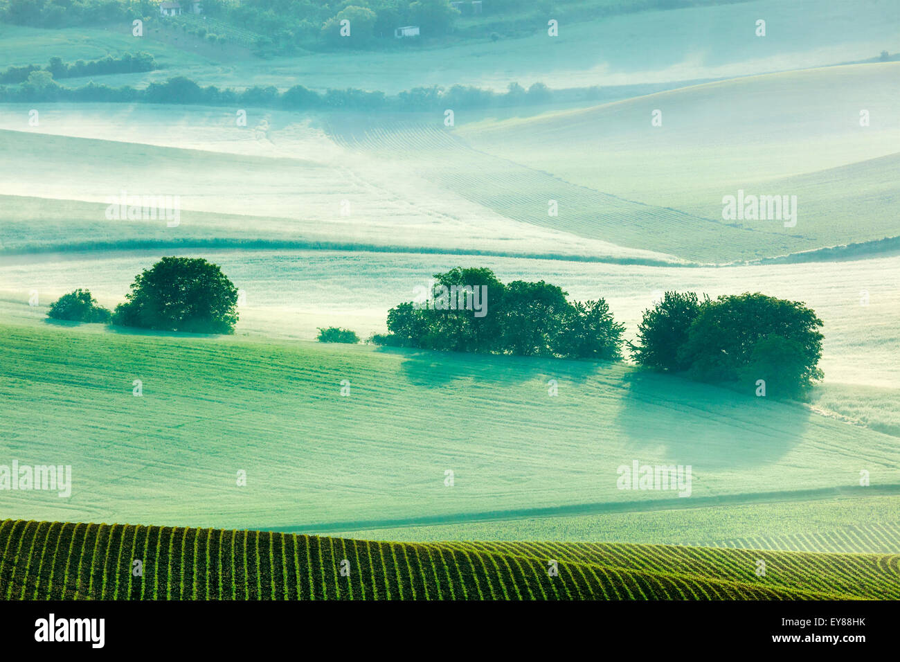 Moravian rolling fields landscape in morning mist. Moravia, Czech ...