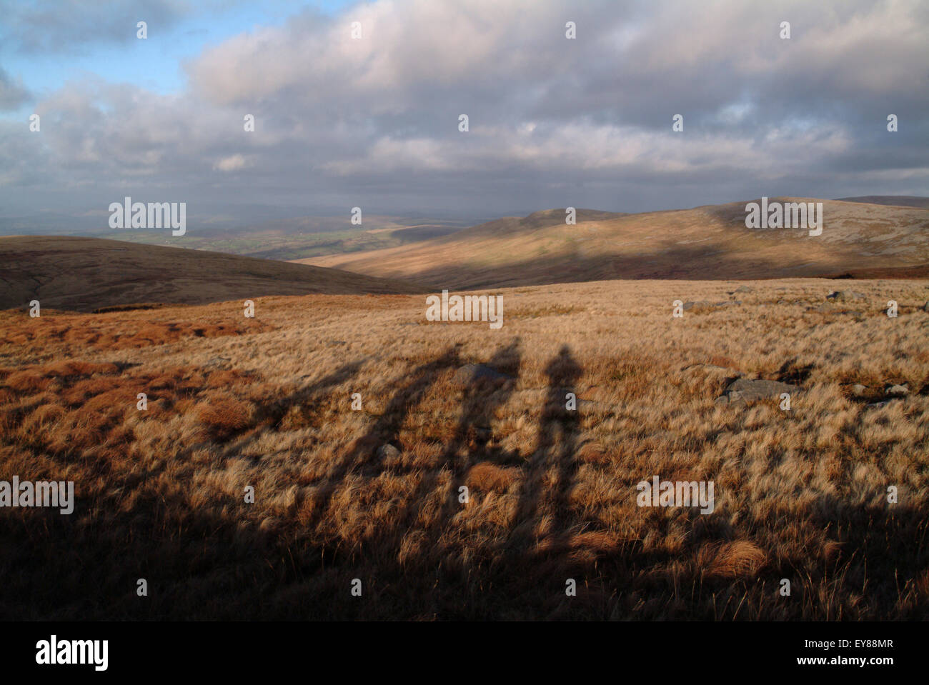 Long people shadows hi-res stock photography and images - Alamy