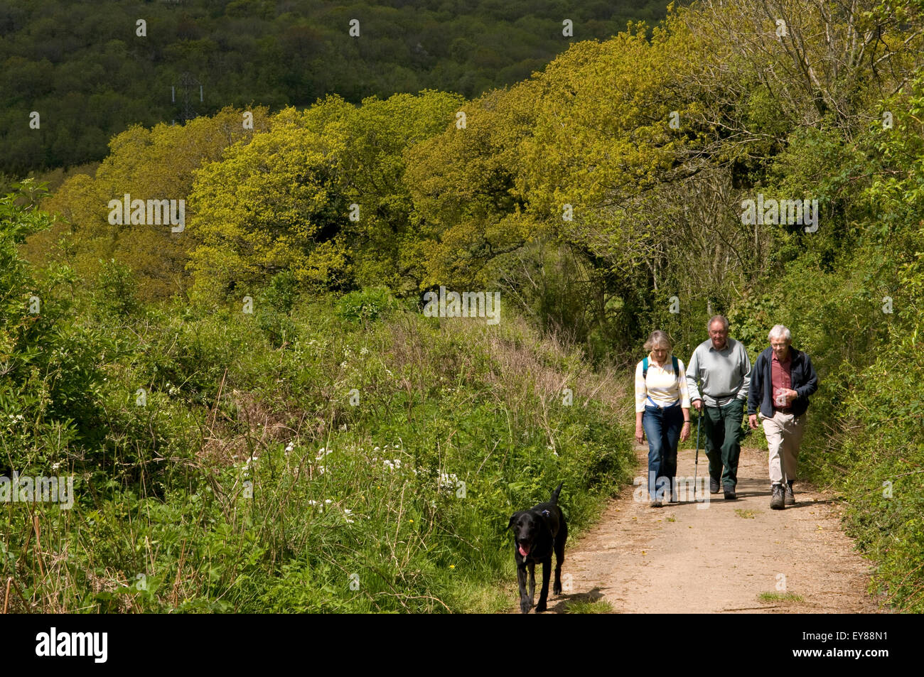 Walking women ramblers rambling hi-res stock photography and images - Alamy