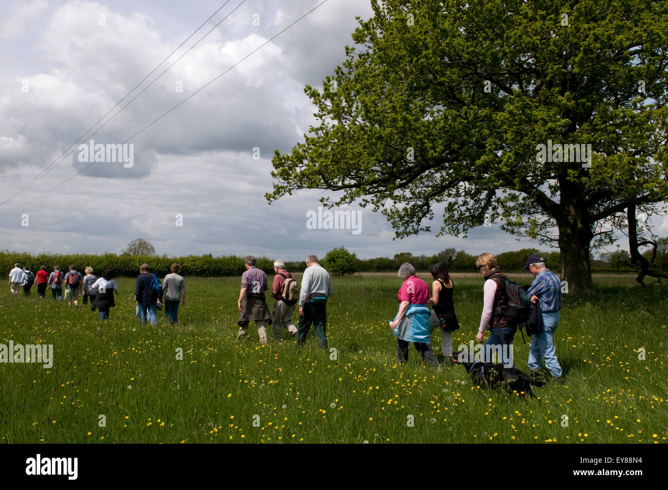 Walkers Field Rear View High Resolution Stock Photography and Images ...