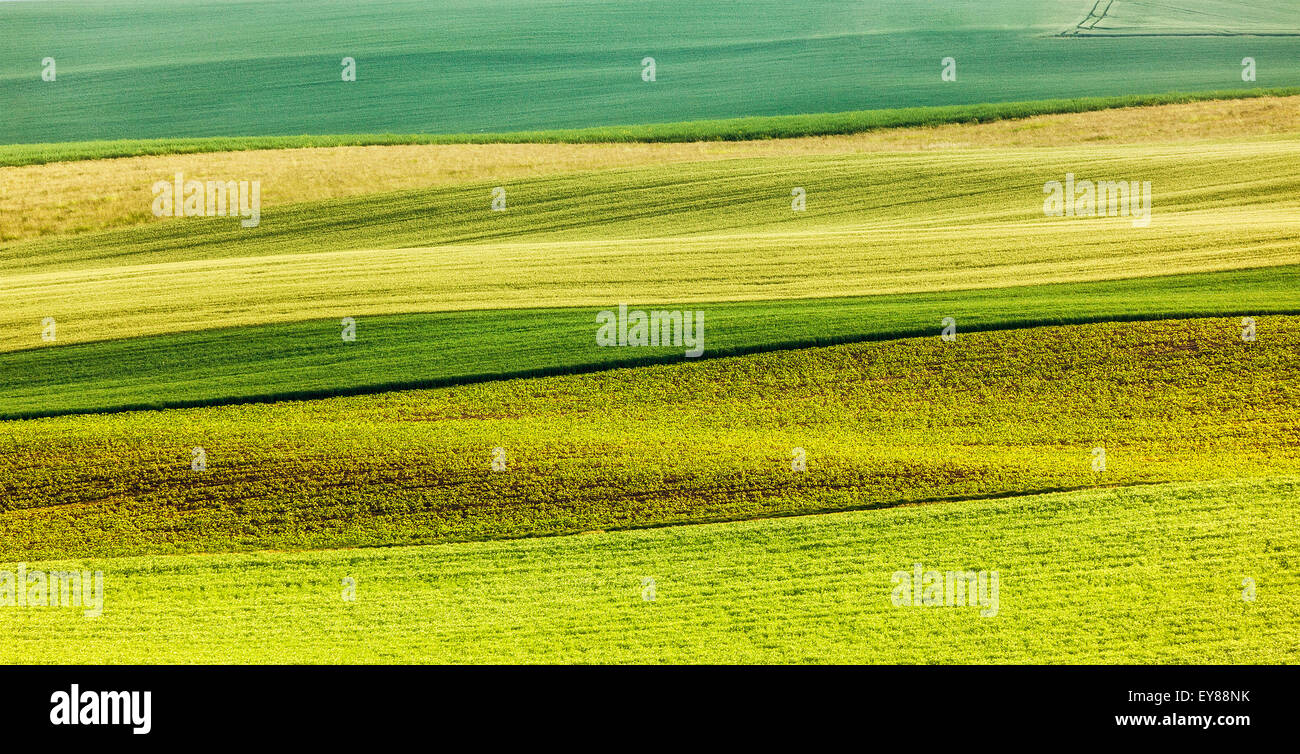 Abstract pattern of rolling striped fields in summer. Moravia, Czech ...