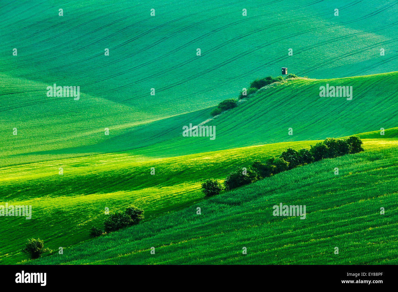 Rural Europe background - Moravian rolling landscape with hunting tower ...