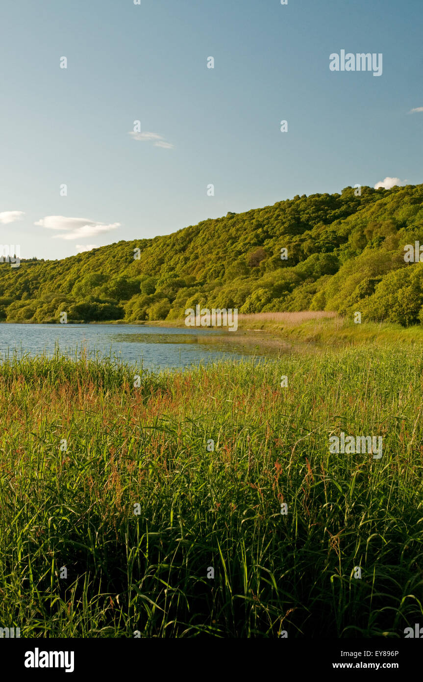 River cree hi-res stock photography and images - Alamy