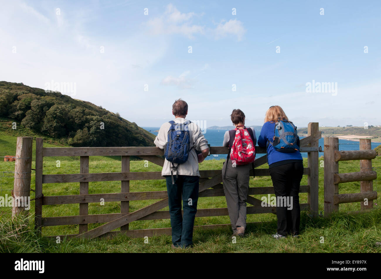 Walkers back view hi-res stock photography and images - Alamy