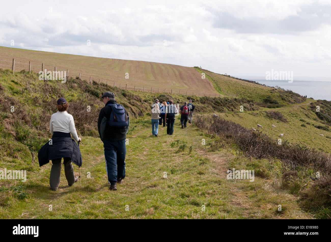 Back view of group of walkers on coastal path Stock Photo - Alamy