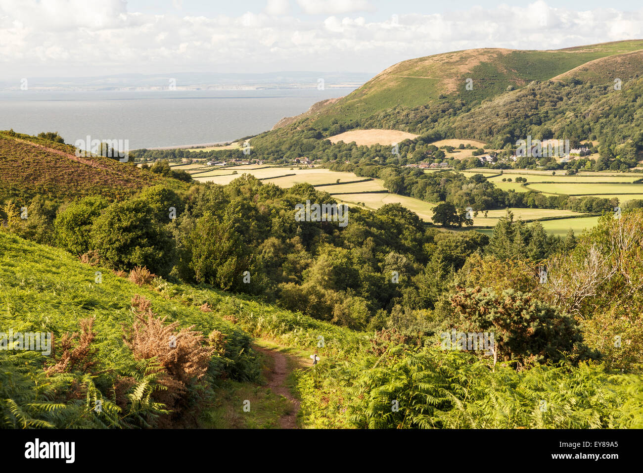 Bossington Hill and Porlock Bay viewed from Ley Hill Stock Photo - Alamy